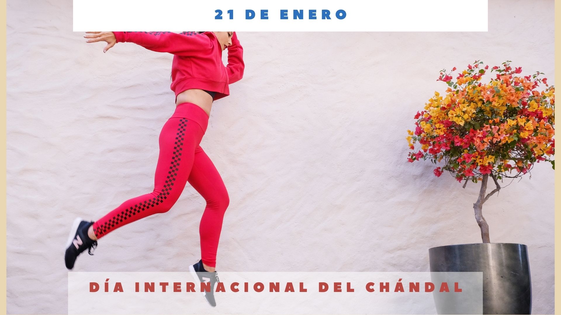DÍA INTERNACIONAL DEL CHÁNDAL - 21 de enero - Día Internacional Hoy