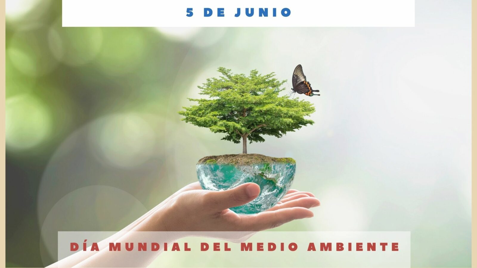 DÍA MUNDIAL DEL MEDIO AMBIENTE - 5 de junio - Día Internacional Hoy