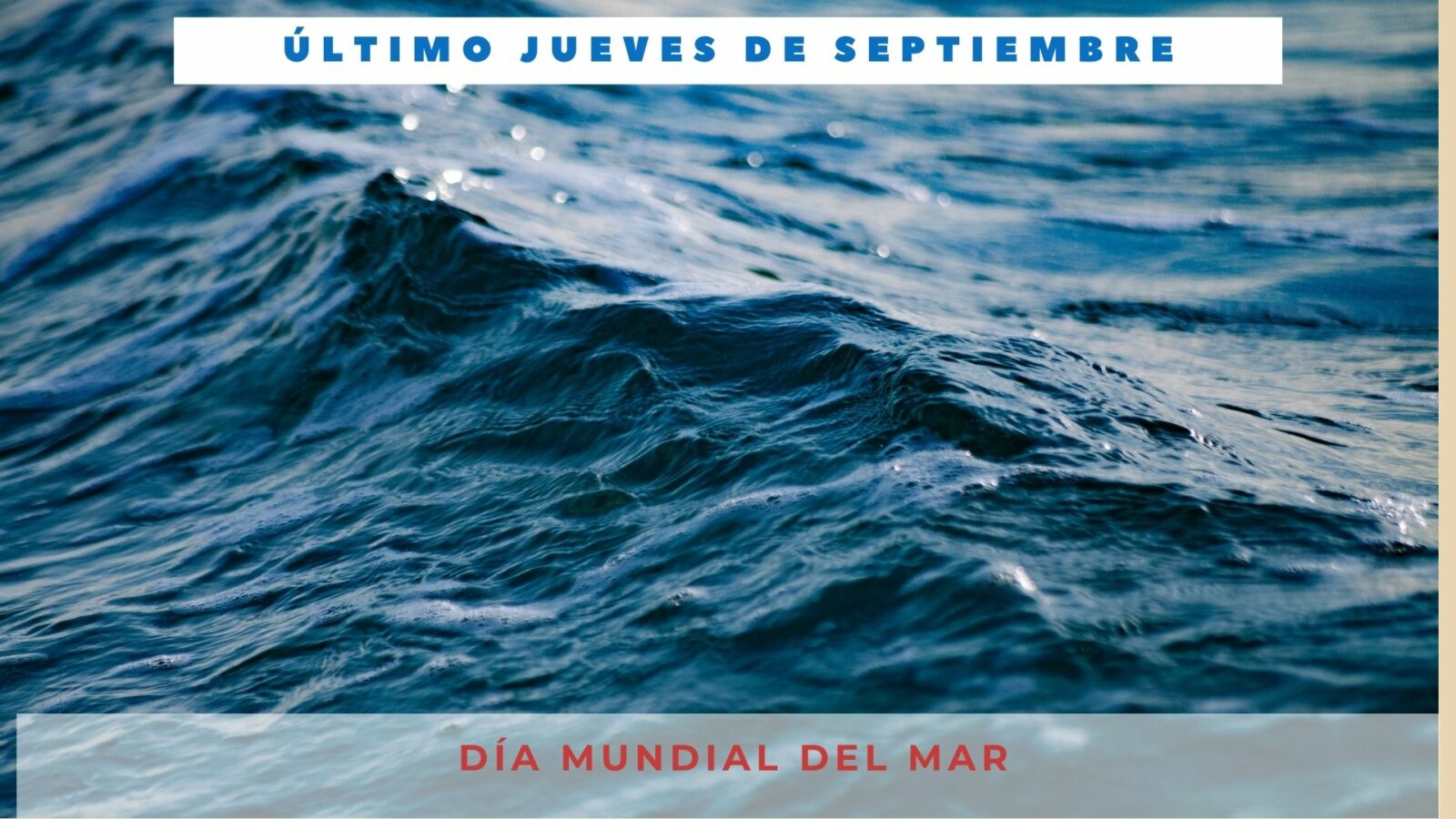 DÍA MUNDIAL DEL MAR - Último jueves de septiembre - Día Internacional Hoy