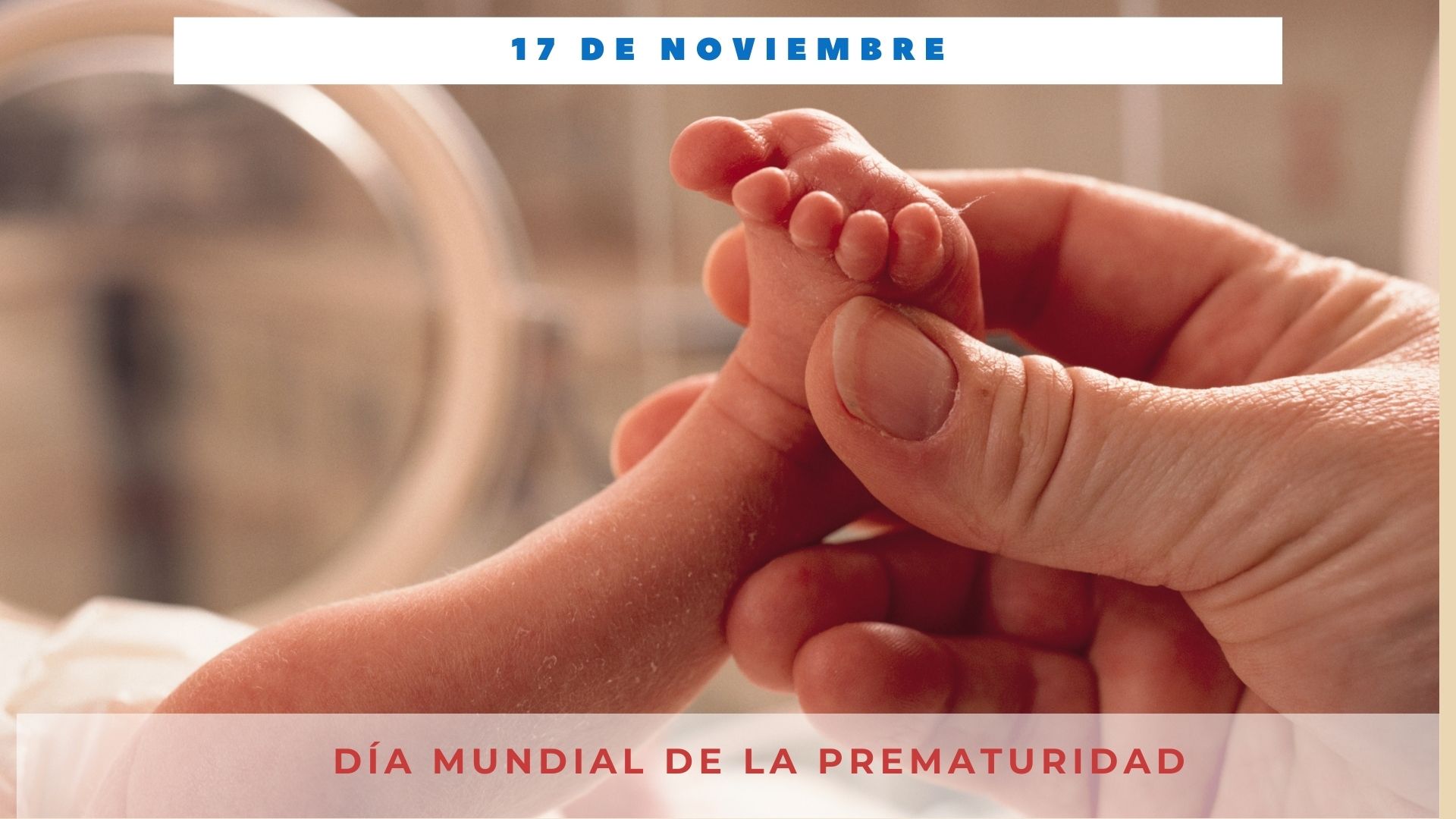 DÍA MUNDIAL DE LA PREMATURIDAD - 17 de noviembre - Día Internacional Hoy