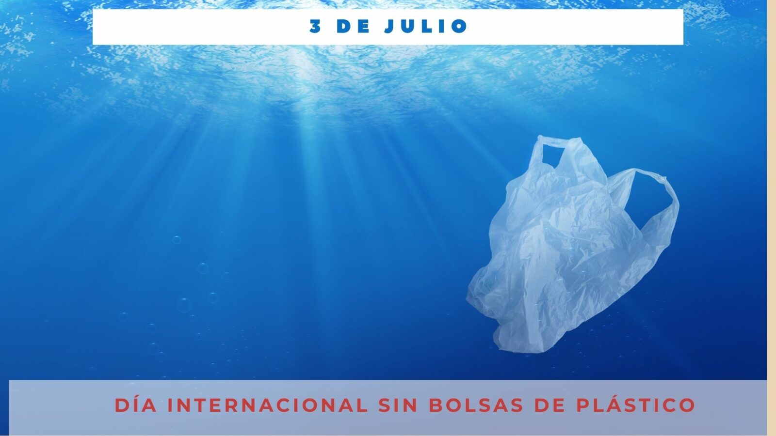DÍA INTERNACIONAL LIBRE DE BOLSAS DE PLÁSTICO - 3 de julio - Día Internacional Hoy