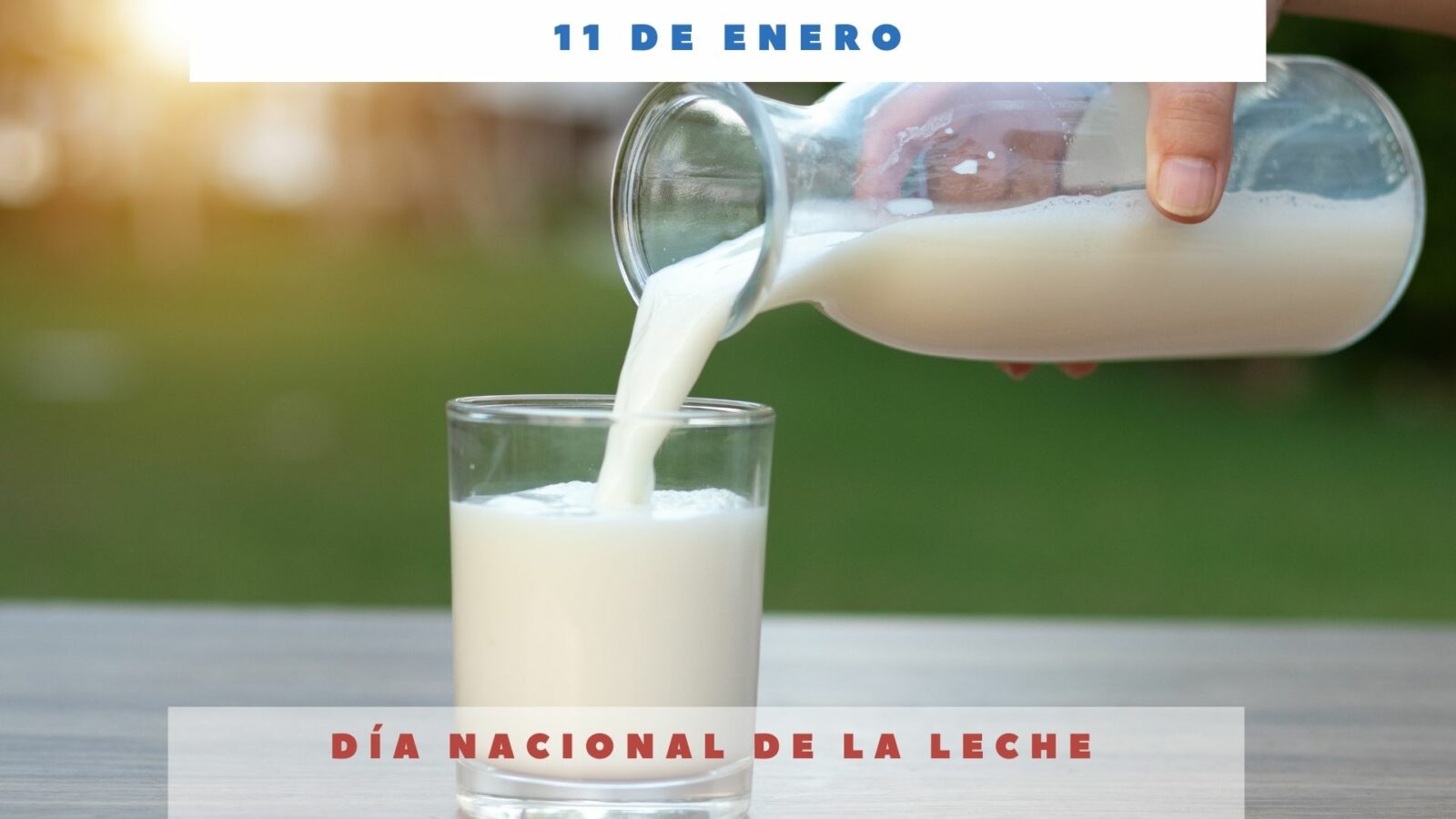 DÍA NACIONAL DE LA LECHE - 11 de enero - Día Internacional Hoy
