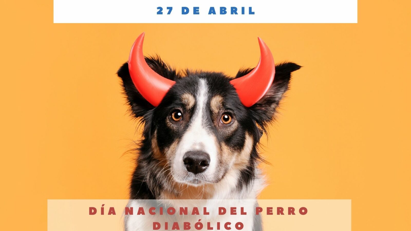 DÍA NACIONAL DEL PERRO DIABÓLICO- 27 de abril - Día Internacional Hoy