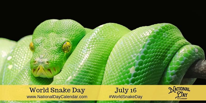 DÍA MUNDIAL DE LA SERPIENTE - 16 de julio - Día Internacional Hoy